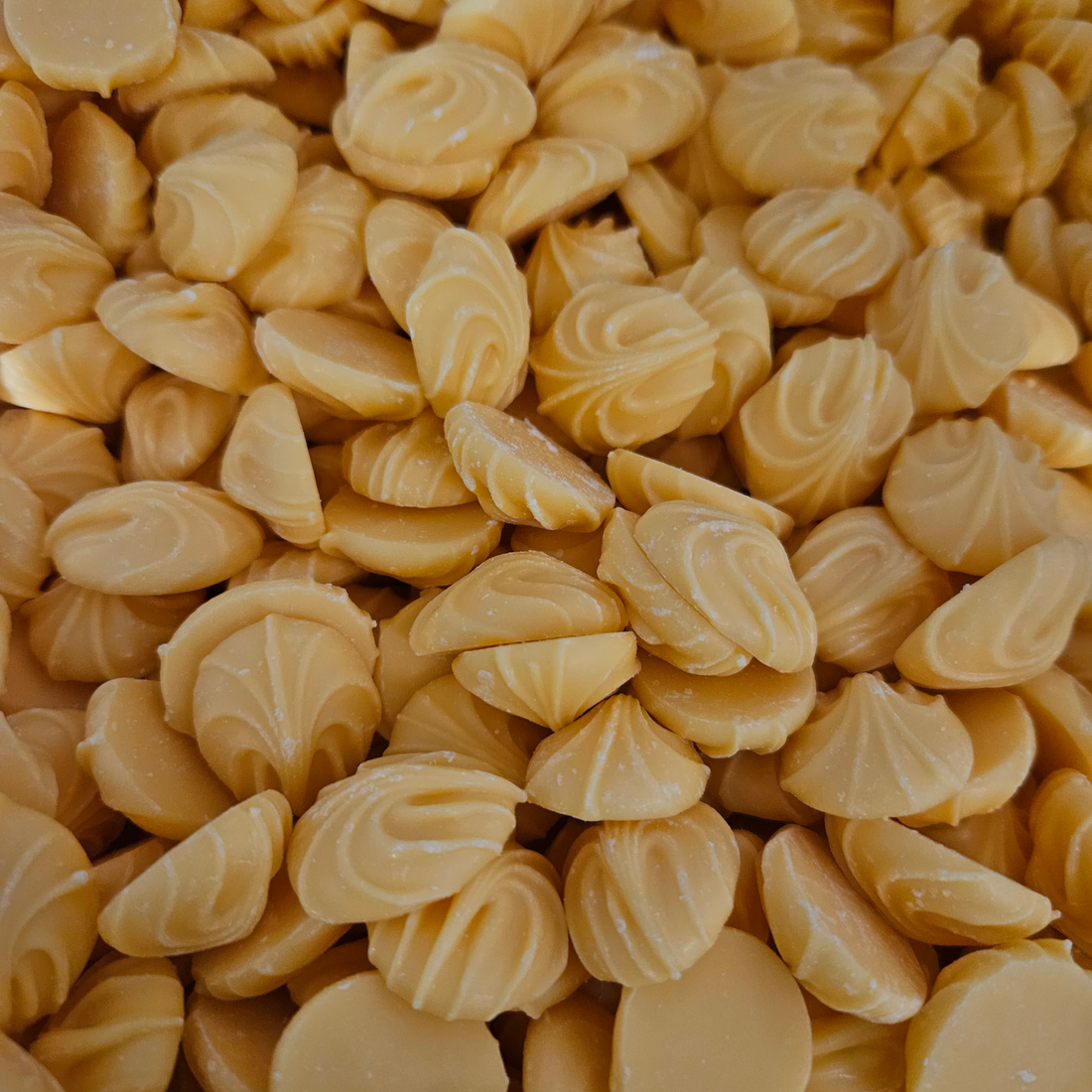 Caramel Milk Buds – Gumdrop Lolly Shop